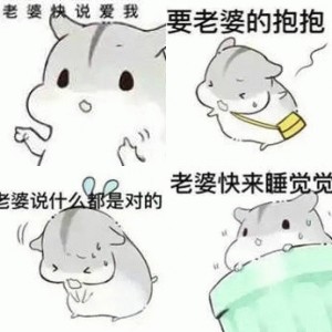 奴才这就去办 龙图表情包：自暴自器 戴着红帽的熊猫头一脸正经表示“奴才这就去办”超有趣表情包图片gif动图 - 求表情网,斗图从此不求人!