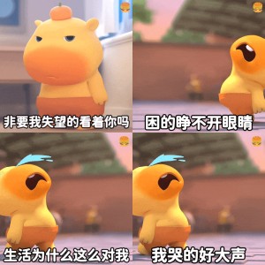 可爱河马头顶橘子，呆萌站立的样子太有趣啦 表情包丨水豚噜噜表情包合集④表情包图片gif动图 - 求表情网,斗图从此不求人!