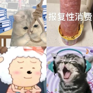 bvvd表情包相关专辑列表 - 求表情网,斗图从此不求人!