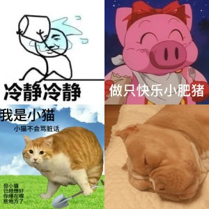 无法拒绝的表情包ᕑᗢᓫ相关表情包表情包专辑 求表情网斗图从此不求人 5032
