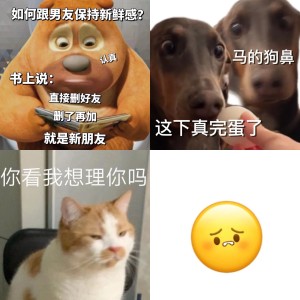 一些很难拒绝的表情包相关表情包表情包专辑 求表情网斗图从此不求人 3564
