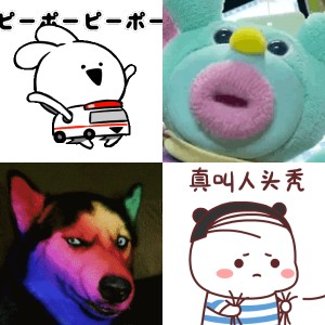 睦头人表情包相关专辑列表 - 求表情网,斗图从此不求人!