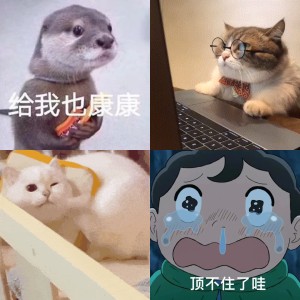 手摸玉米造型肚腩，配文“心动的摸了摸42块腹肌”超搞笑 YYDS表情包！表情包图片gif动图 - 求表情网,斗图从此不求人!