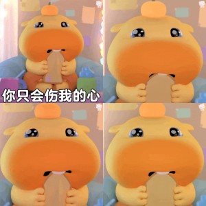 可爱河马头顶橘子，呆萌模样超有趣 水豚噜噜|黄色河马表情包(新)表情包图片gif动图 - 求表情网,斗图从此不求人!