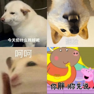 睦头人表情包相关专辑列表 - 求表情网,斗图从此不求人!