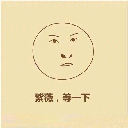 紫薇 等一下！收工！表情包图片gif动图 - 求表情网,斗图从此不求人!