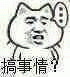 搞事情？ 滑稽猫咪表情配文“搞事情？”，尽显俏皮疑惑之感表情包图片gif动图 - 求表情网,斗图从此不求人!