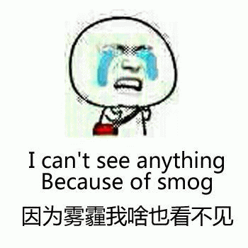 因为雾霾我啥也看不见表情包图片gif动图 - 求表情网,斗图从此不求人!