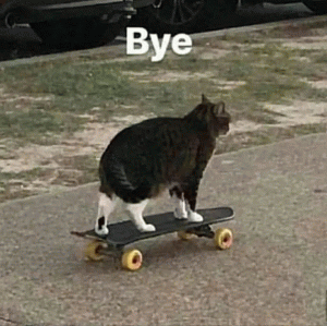 Bye 肥猫站滑板上潇洒离去，配文“Bye”尽显洒脱表情包图片gif动图 - 求表情网,斗图从此不求人!