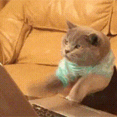 weiyan-shi (Weiyan Shi) · GitHub