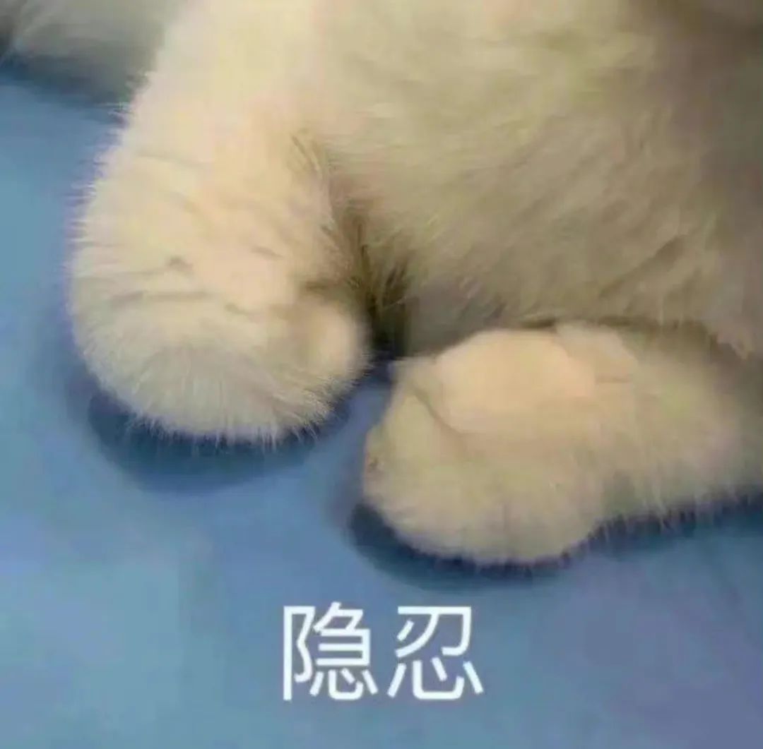 蕾忍表情包表情包图片 - 求表情网,斗图从此不求人!