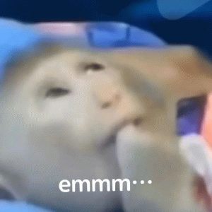 emmm 可爱小动物咬着东西，表情呆萌配文“emmm...”表情包图片gif动图 - 求表情网,斗图从此不求人!