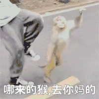马喽猴子表情包 “哪来的猴，去你妈的”，猴子玩滑板的滑稽动态表情包图片gif动图 - 求表情网,斗图从此不求人!