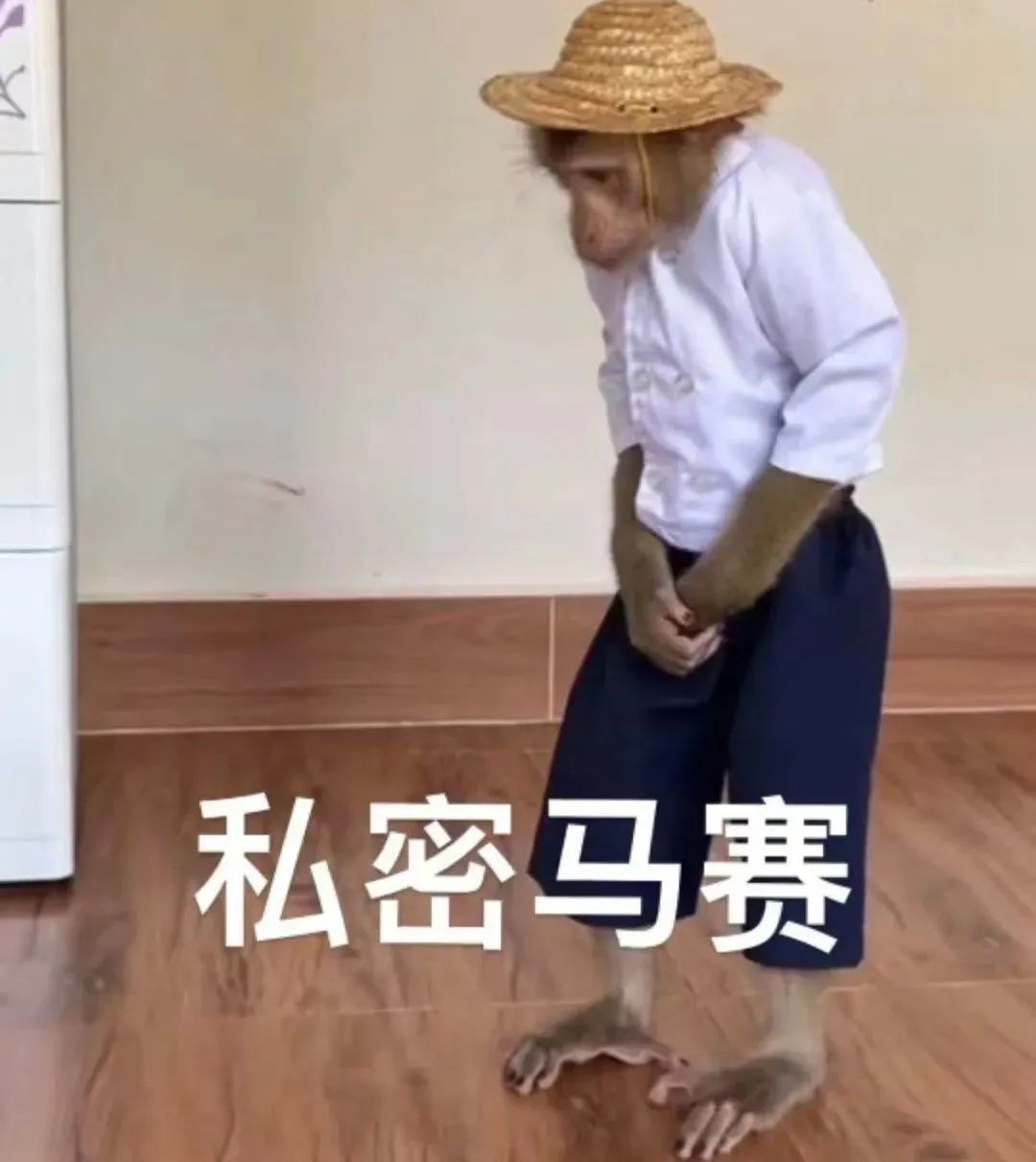 猴子戴草帽穿衣服，双手放在裆部，配文“私密马赛”的搞笑表情包 想要爱情，不想吃苦 | 表情包来袭 猴子戴草帽穿衣服，动作滑稽配文“私密马赛”的 ...