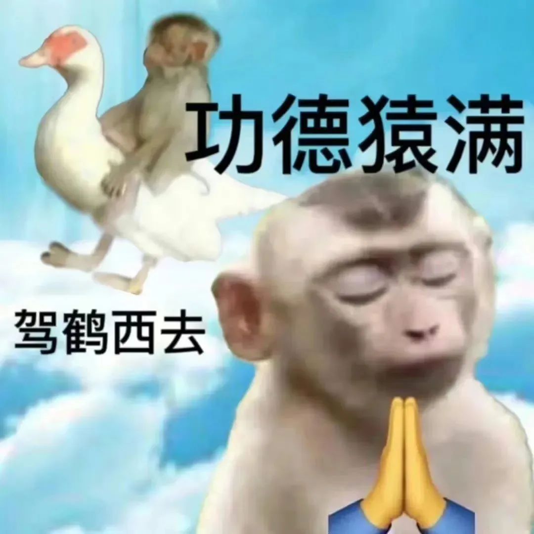 《功德猿满驾鹤西去，搞笑猴子表情包萌翻众人》 表情包｜晚安 我请了蚊子 今晚来亲你 不用谢 《功德猿满驾鹤西去，这猴子的表情和动作太有戏啦 ...