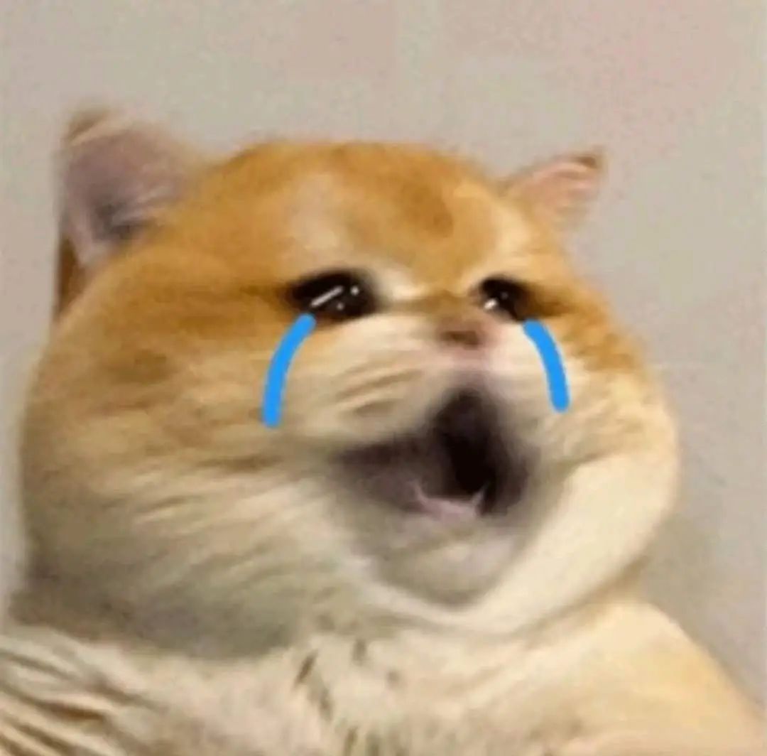 橘猫满脸悲伤大哭，两行蓝泪超夸张，可爱又搞笑 表情包该更新啦表情包图片gif动图 - 求表情网,斗图从此不求人!