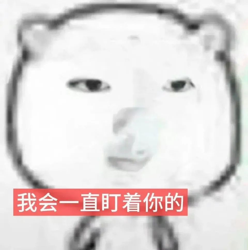 可爱动物头像配上文字“我会一直盯着你的”，有点萌又有点小压迫感 玩抽象表情包 丨 讨厌你表情包图片gif动图 - 求表情网,斗图从此不求人!