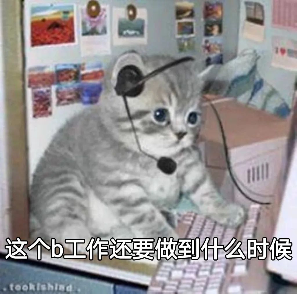 戴耳机的小猫坐在键盘前，满脸无奈配文“这个b工作还要做到什么时候” 真是一个寂寞难耐的夜晚 | ๑表情包！表情包图片gif动图 - 求表情网 ...
