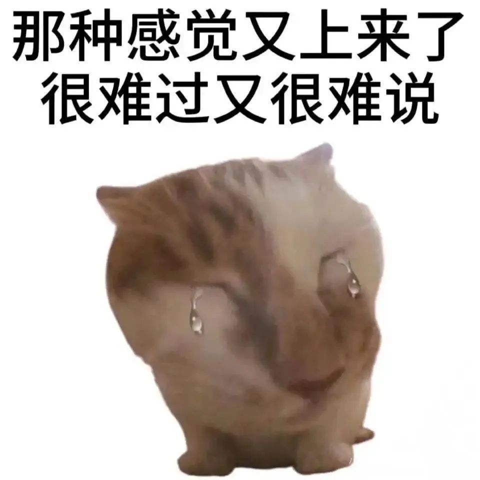 流泪猫猫头：那种感觉又上来了，很难过又很难说 全是委屈表情包表情包图片gif动图 - 求表情网,斗图从此不求人!