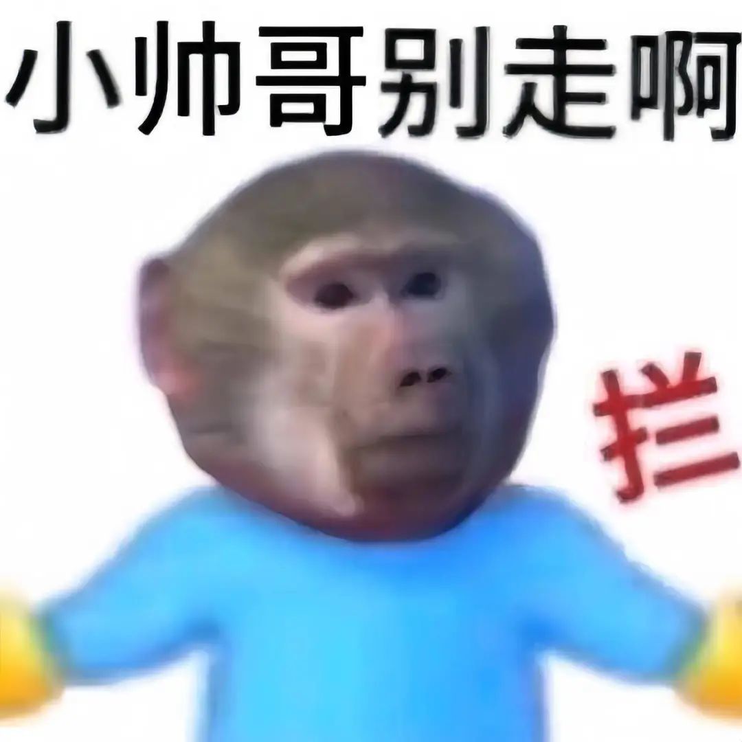 可爱猴子表情包：小帅哥别走啊，伸出手臂阻拦超有趣 500个很火的抽象有病表情包表情包图片gif动图 - 求表情网,斗图从此不求人!