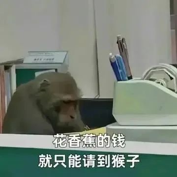 《花香蕉的钱就只能请到猴子》——搞笑职场表情包 500个抽象神经很好玩的表情包表情包图片gif动图 - 求表情网,斗图从此不求人!
