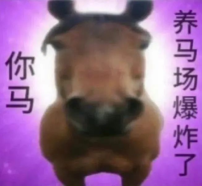 《你马》表情包，配文“养马场爆炸了”，夸张又搞笑 今日份沙雕表情包｜我有的力气和手段表情包图片gif动图 - 求表情网,斗图从此不求人!