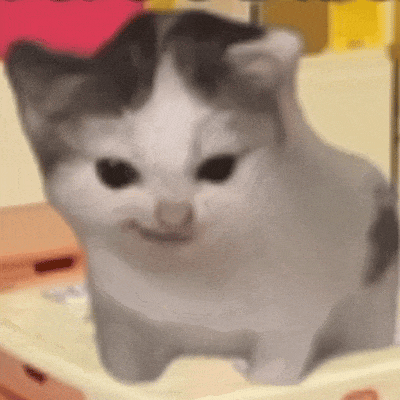 可爱小猫眯眼微笑，表情呆萌超治愈 发颠的猫猫meme抽象表情包合集表情包图片gif动图 - 求表情网,斗图从此不求人!