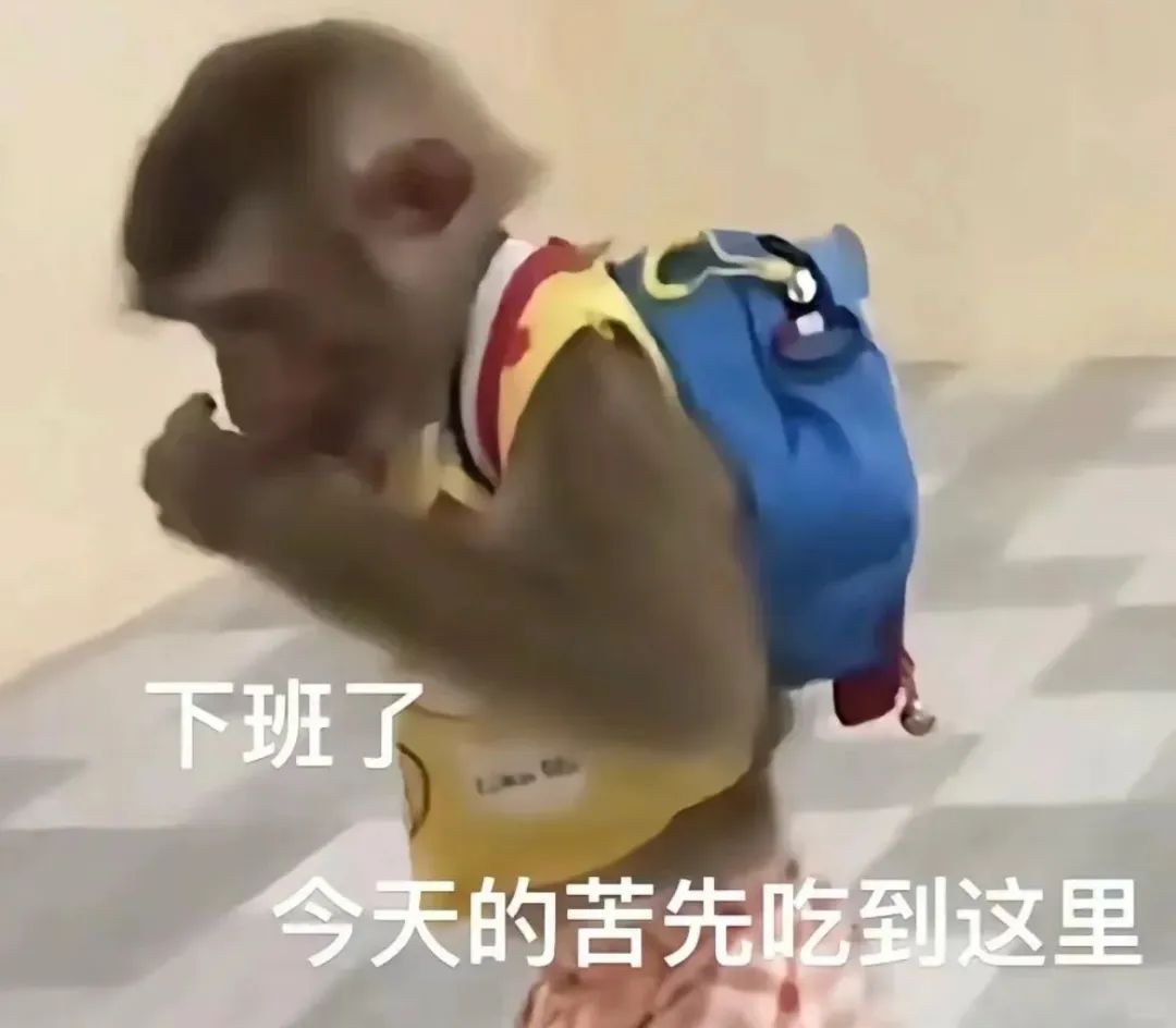“下班了，今天的苦先吃到这里”的猴子表情包，尽显打工人的心声 上班加班下班表情包｜问薪吾溃表情包图片gif动图 - 求表情网,斗图从此不求人!