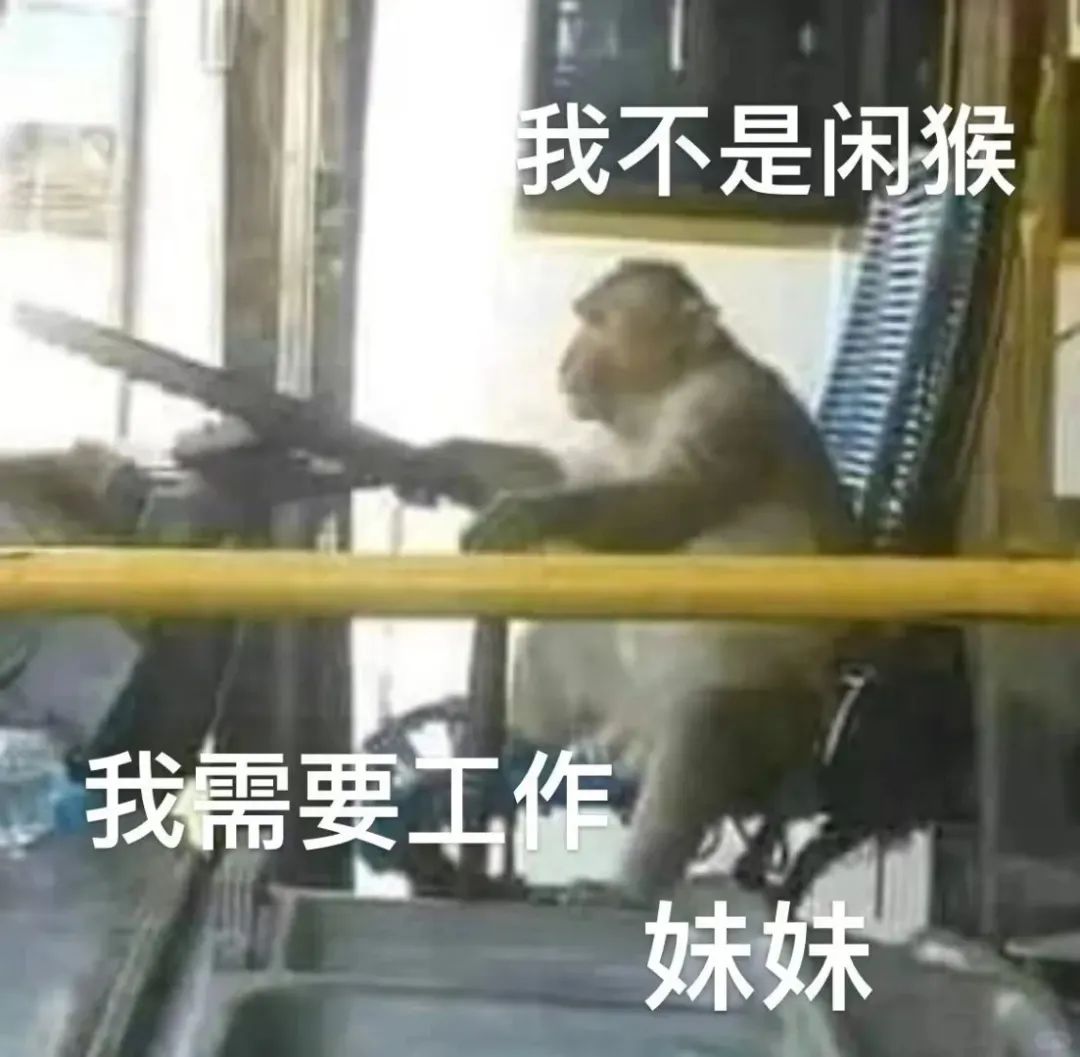 《忙碌的猴子》——“我不是闲猴，我需要工作妹妹”，幽默又励志 上班加班下班表情包｜问薪吾溃表情包图片gif动图 - 求表情网,斗图从此不求人!