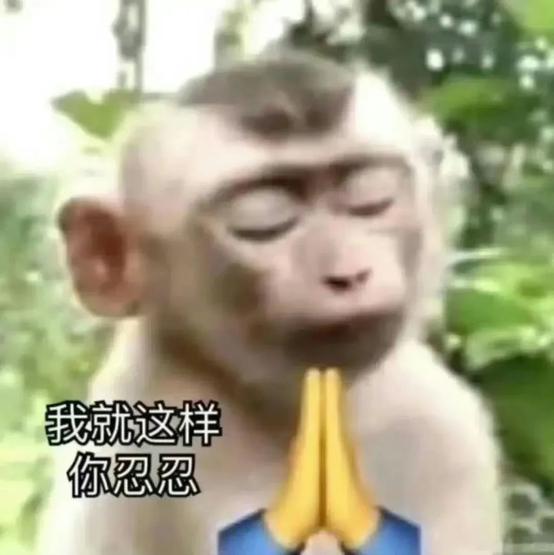 蕾忍表情包表情包图片 - 求表情网,斗图从此不求人!