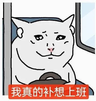 白猫一脸无奈开车，配文“我真的补想上班”，尽显打工人的心酸 上班加班下班表情包｜问薪吾溃表情包图片gif动图 - 求表情网,斗图从此不求人!