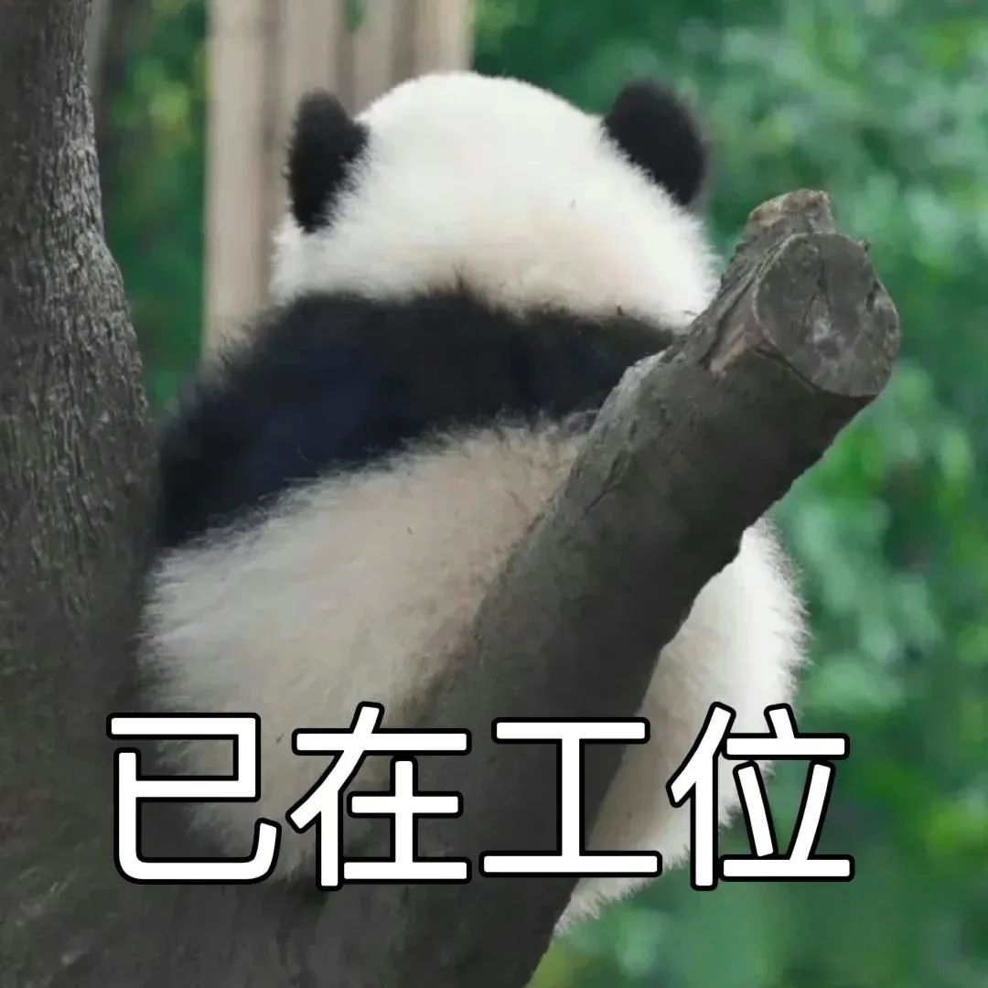 可爱熊猫坐在树杈上，配文“已在工位”的有趣表情包 上班加班下班表情包｜问薪吾溃表情包图片gif动图 - 求表情网,斗图从此不求人!