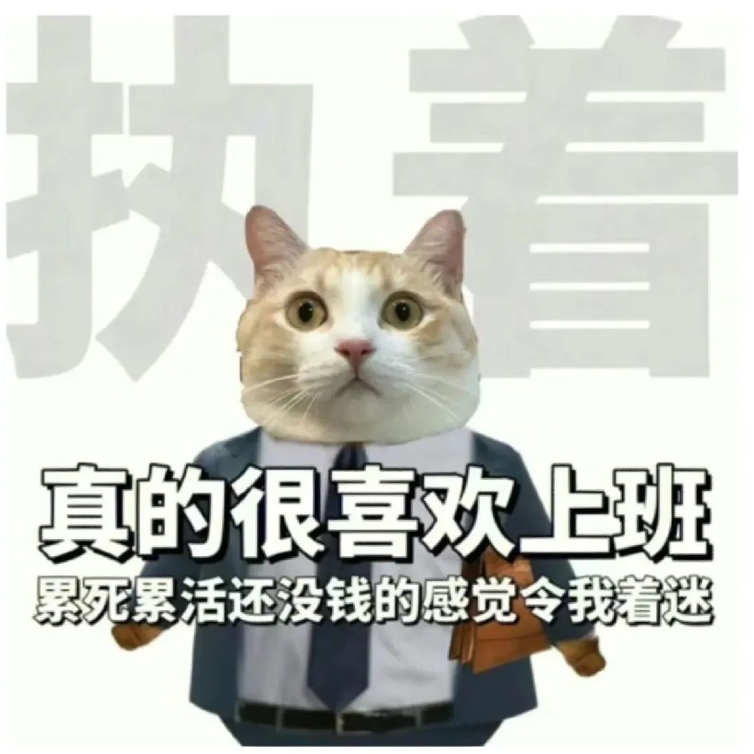 猫咪穿西装配文“真的很喜欢上班，累死累活还没钱的感觉令我着迷” 上班加班下班表情包｜问薪吾溃表情包图片gif动图 - 求表情网,斗图从此不求人!