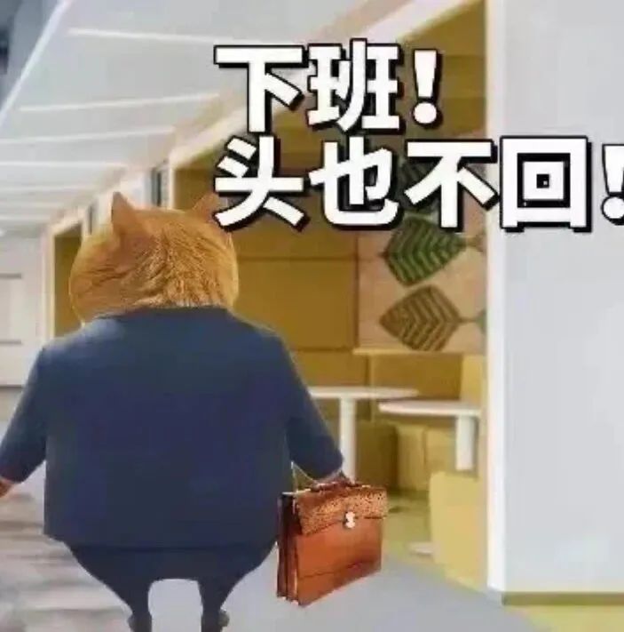 可爱猫咪穿西装拎包，配文“下班！头也不回”超有共鸣 上班加班下班表情包｜问薪吾溃表情包图片gif动图 - 求表情网,斗图从此不求人!