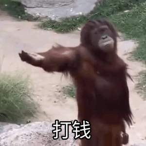 猩猩伸出手一脸霸气，下方配文“打钱”，生动又有趣 鸡那么多，就你会上网 … | 微信聊天可爱表情包表情包图片gif动图 - 求表情网,斗图从此不求人!