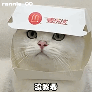 戴着麦当劳麦乐送盒子的猫咪，配文“滚眼看”超有趣 表情包｜豆腐都有脑，你却没有表情包图片gif动图 - 求表情网,斗图从此不求人!