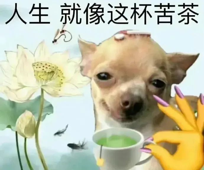 《人生就像这杯苦茶》，小狗配茶图尽显无奈又诙谐的人生百态 10000个很火的抽象犯贱表情包表情包图片gif动图 - 求表情网,斗图从此不求人!