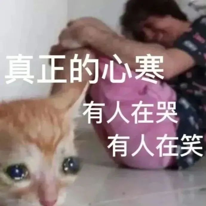 真正的心寒：有人在哭有人在笑，橘猫表情亮了 10000个很火的抽象犯贱表情包表情包图片gif动图 - 求表情网,斗图从此不求人!