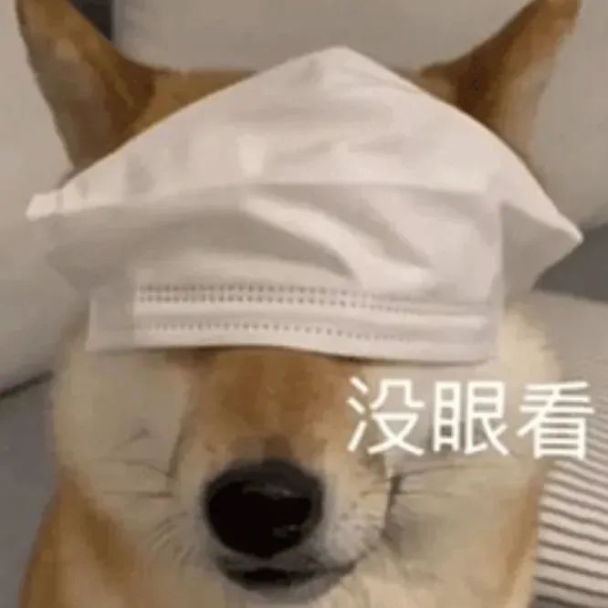 戴着白色帽子的狗狗，配文“没眼看”，表情滑稽可爱 抽象屌丝表情包（500）表情包图片gif动图 - 求表情网,斗图从此不求人!