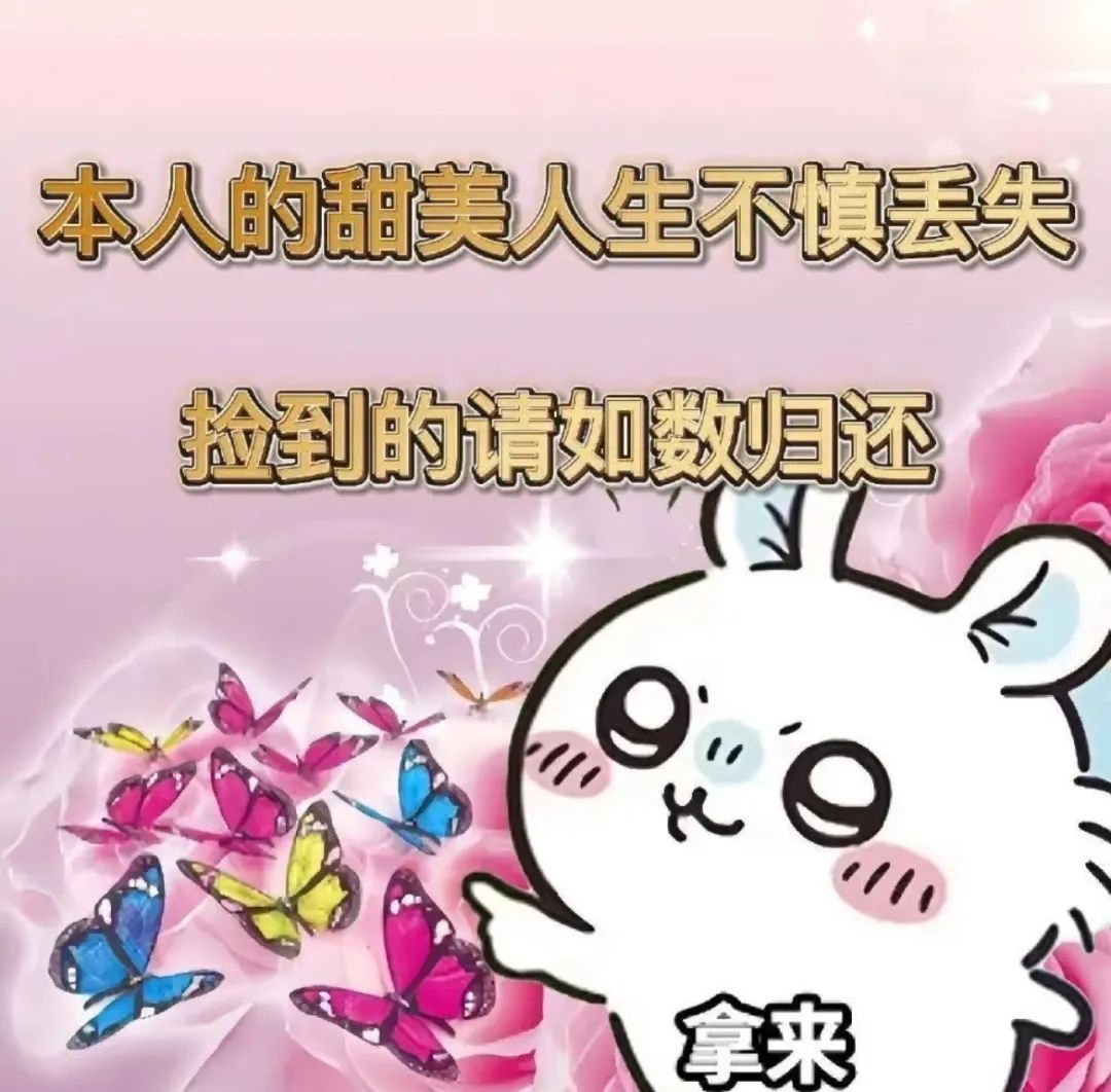 可爱风“本人的甜美人生不慎丢失，捡到的请如数归还”表情包 吉伊卡哇chiikawa抽象文字表情包表情包图片gif动图 - 求表情网,斗图从此不求人!