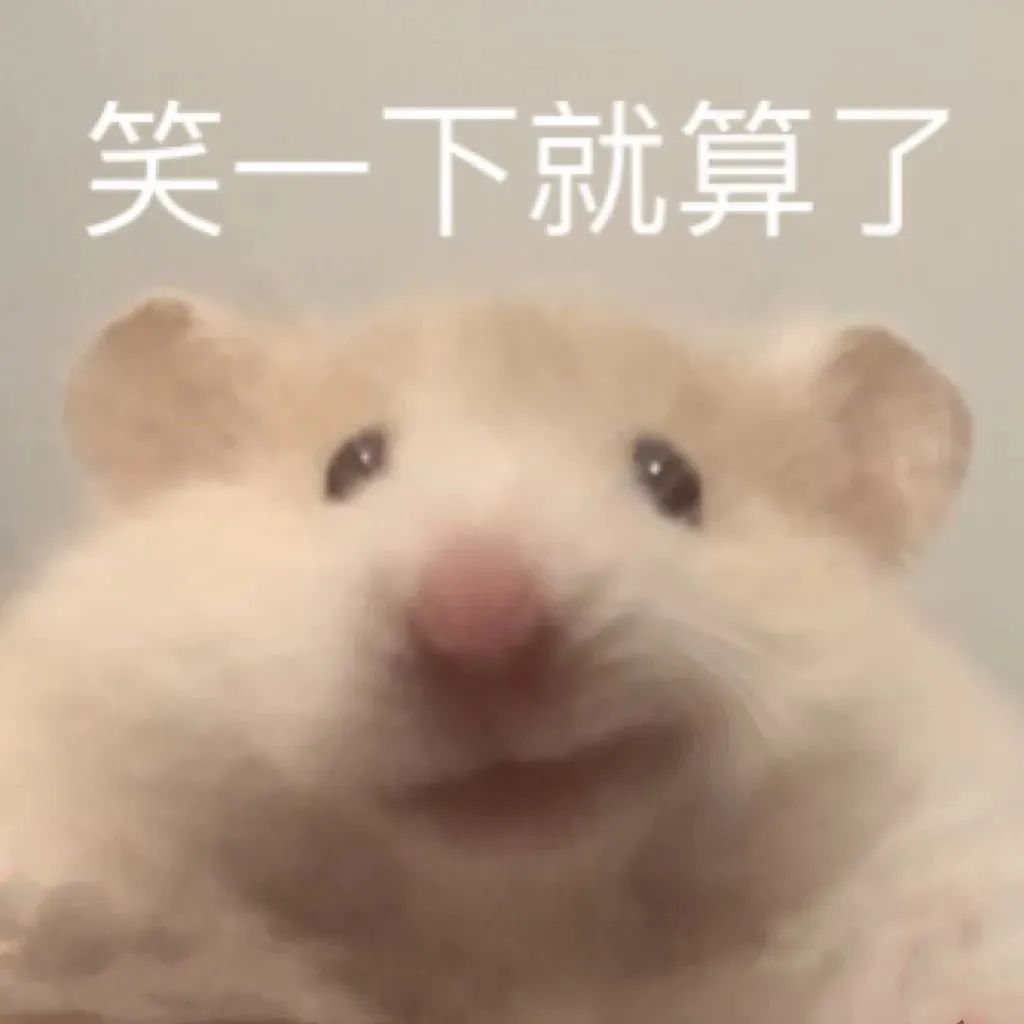 可爱仓鼠脸配文“笑一下就算了”，超萌表情传递乐观心态 仓鼠表情包丨精神状态稳定表情包图片gif动图 - 求表情网,斗图从此不求人!