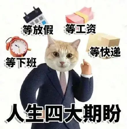 《人生四大期盼》：等放假、等工资、等快递、等下班的可爱猫咪 表情包｜这像画吗？表情包图片gif动图 - 求表情网,斗图从此不求人!