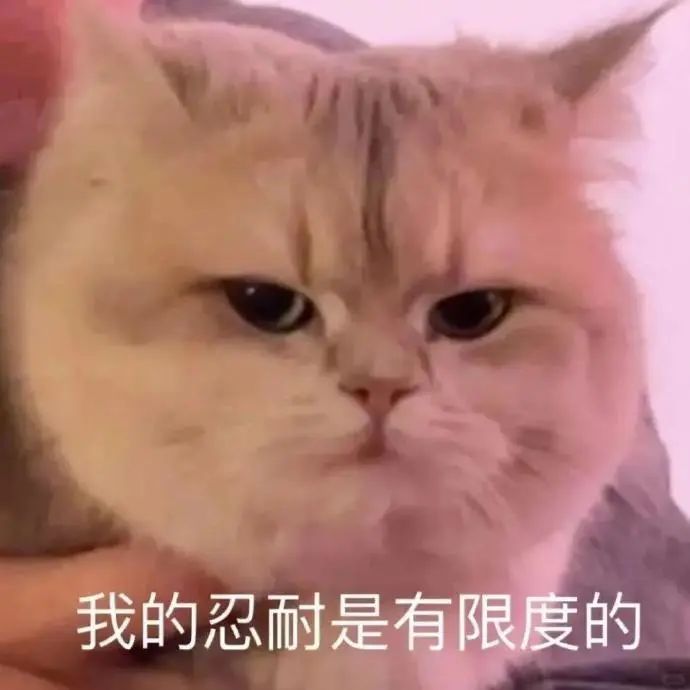 猫咪表情严肃配文“我的忍耐是有限度的”超有威慑力 小猫表情包 | 你放屁了？ 表情包图片gif动图 - 求表情网,斗图从此不求人!