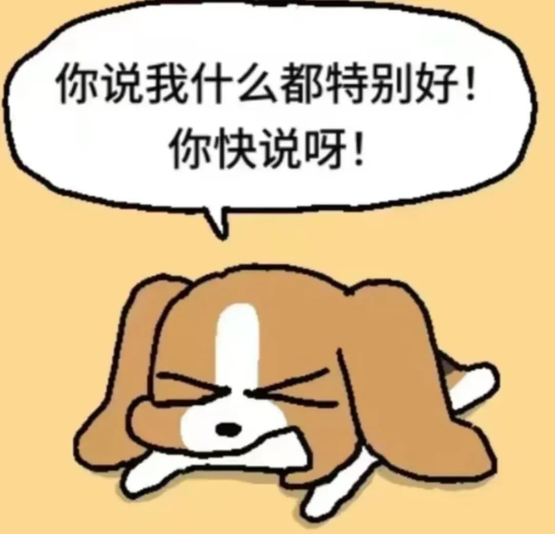 可爱小狗趴地撒娇，配文“你说我什么都特别好！你快说呀！” 比格狗狗表情包丨V我50表情包图片gif动图 - 求表情网,斗图从此不求人!