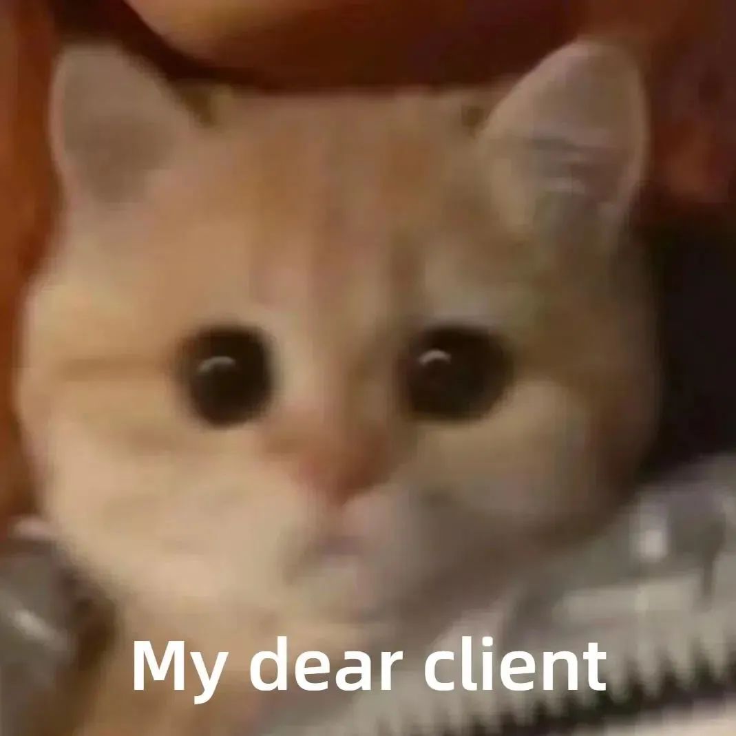 可爱猫咪大眼卖萌，配文“My dear client”，萌化你的心 可爱动物英语表情包｜love ya表情包图片gif动图 - 求表情网,斗图 ...