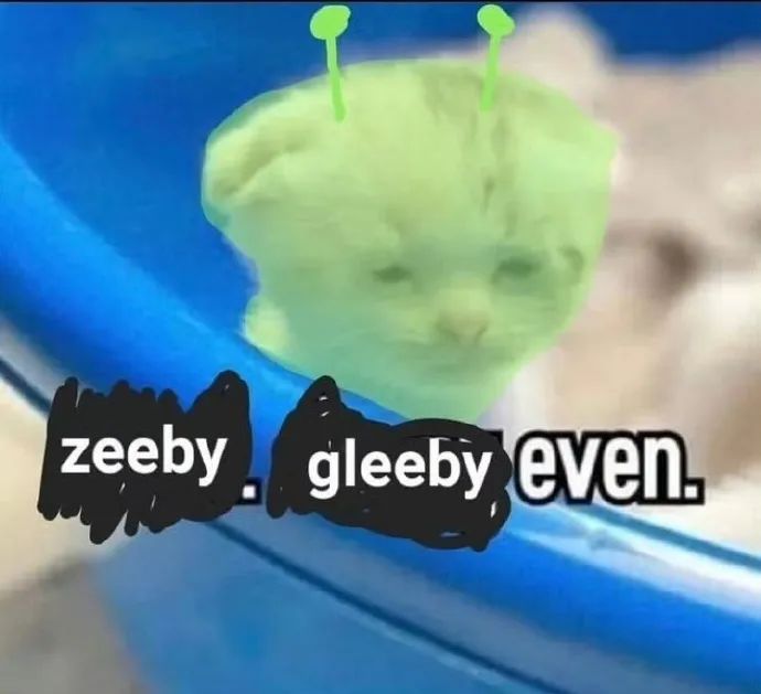 戴着天线的小猫表情呆萌，配文“zeeby. gleeby even.”超有趣 在地球刷到了来自外太空的meme表情包 表情包图片gif动图 ...
