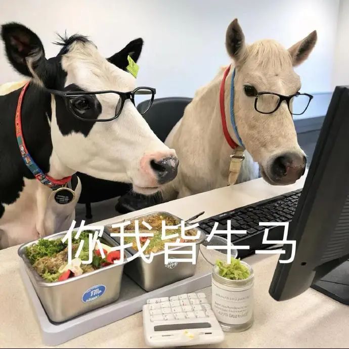 两只戴眼镜的牛马在电脑前，配文“你我皆牛马”超形象 牛马表情包表情包图片gif动图 - 求表情网,斗图从此不求人!