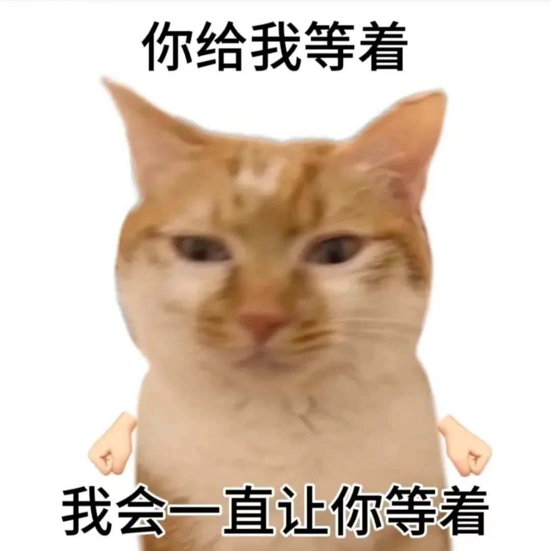 傲娇橘猫表情包：“你给我等着，我会一直让你等着” 表情包:好冷 想把手伸进你的钱包表情包图片gif动图 - 求表情网,斗图从此不求人!