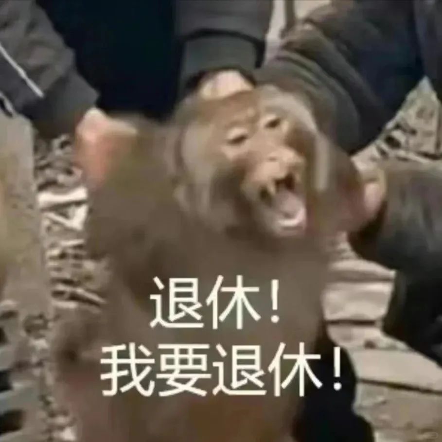 猴子被人抓住表情狰狞大喊“退休！我要退休！”超搞笑 不想上班表情包｜C上这个B班表情包图片gif动图 - 求表情网,斗图从此不求人!
