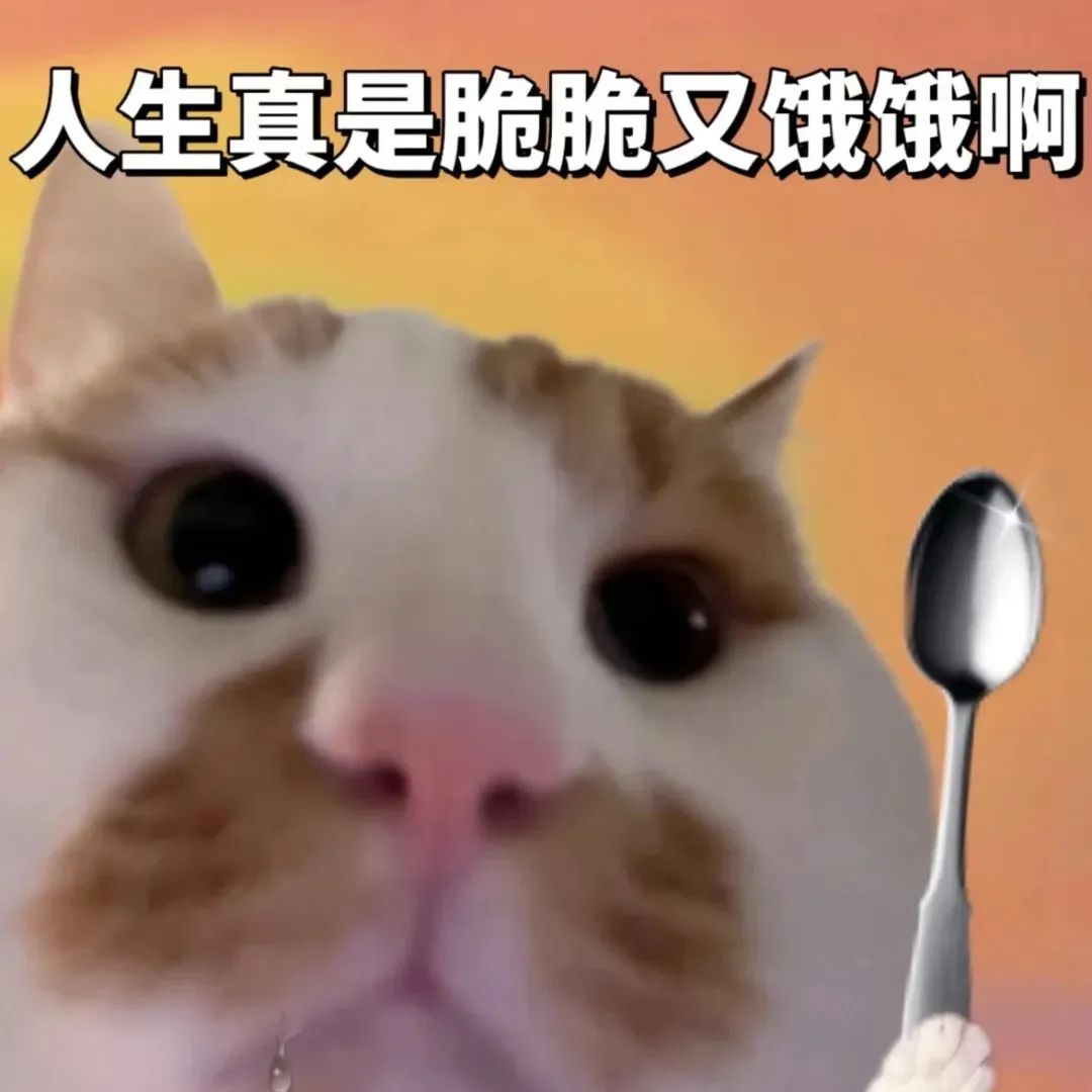 可爱猫咪手持勺子，配文“人生真是脆脆又饿饿啊”萌趣十足 实用抽象表情包表情包图片gif动图 - 求表情网,斗图从此不求人!